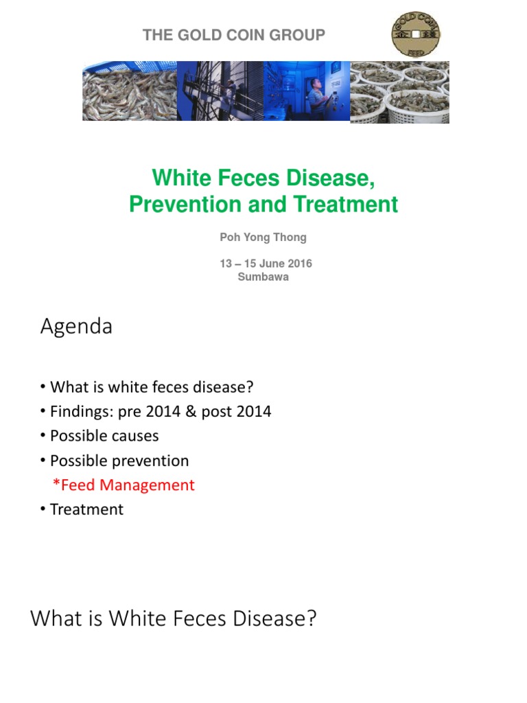 White Feces Disease, Prevention and Treatment | PDF | Bacteria ...
