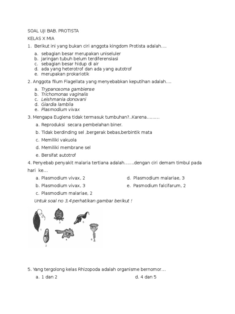 Soal Protista Kelas X | PDF