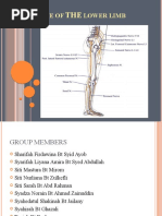 Chapman Points Table PDF | PDF | Anatomical Terms Of Location | Human ...