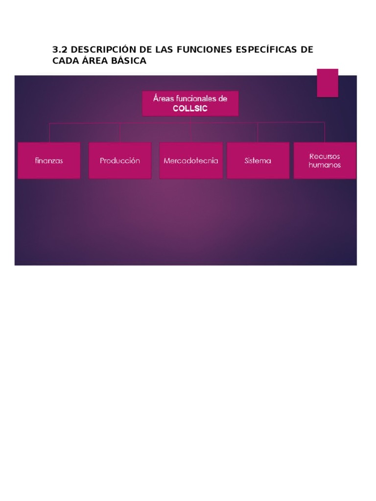 3.2 Descripción de Las Funciones Específicas de Cada Área Básica | PDF