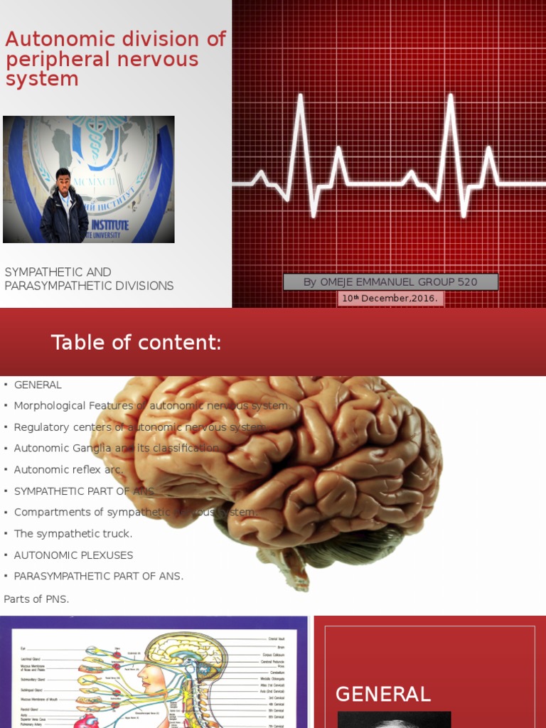 PERIPHERAL NERVOUS SYSTEM SLIDES PPT Presentation | PDF | Autonomic ...