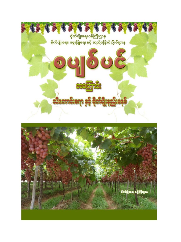 Grape Cultivation PDF | PDF