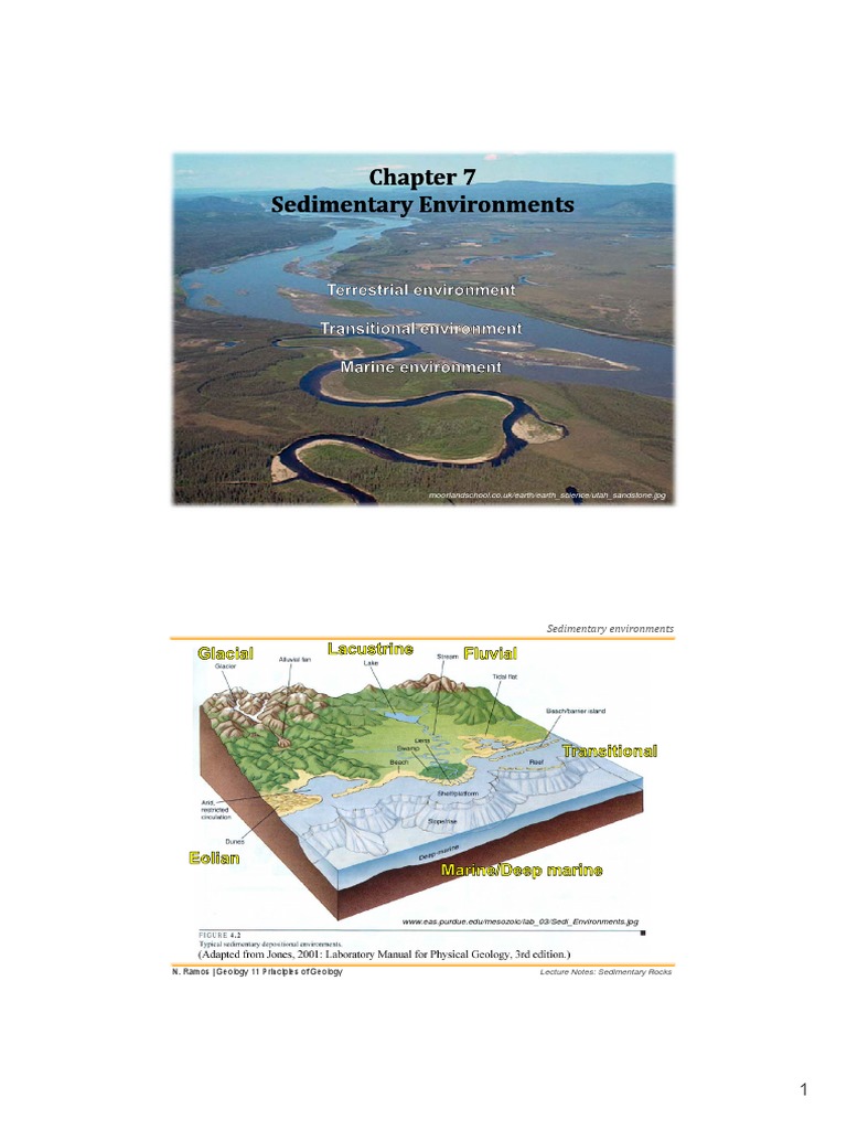 Sedimentary Environments | PDF | River | Sedimentary Rock