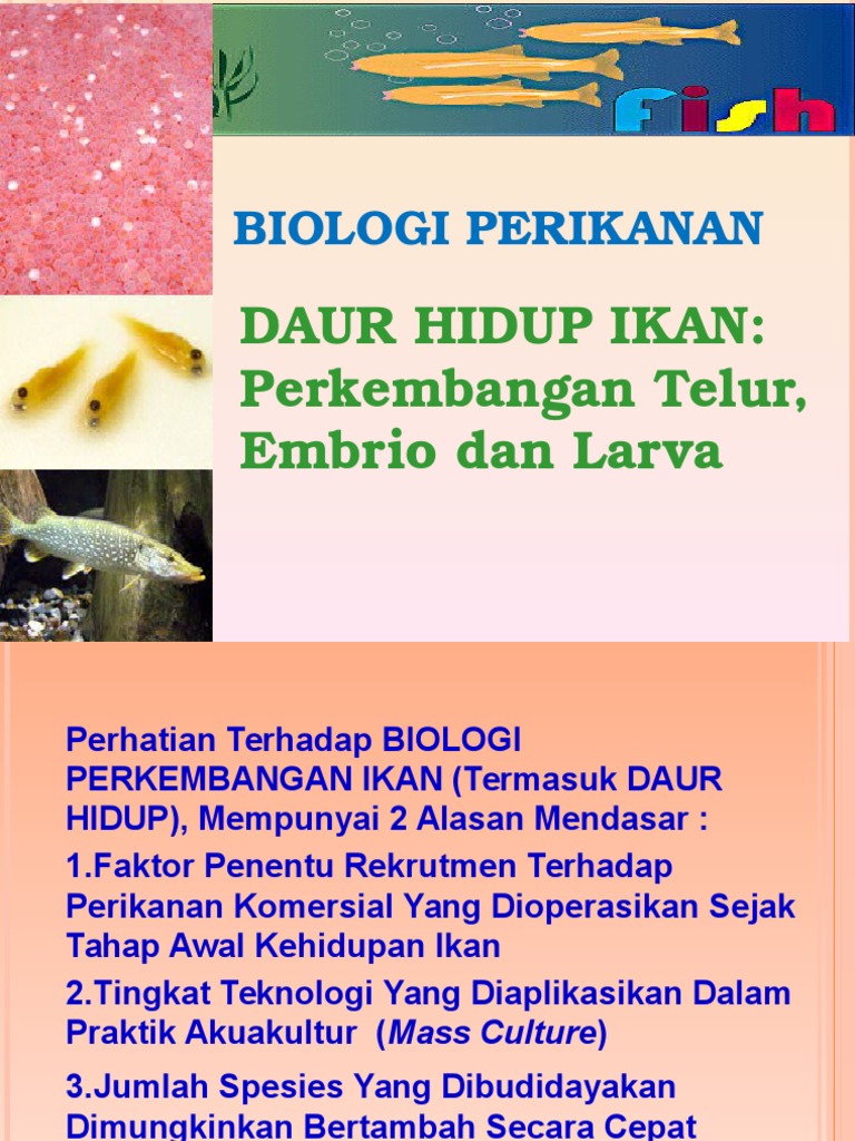 Biologi Perikanan: Daur Hidup Ikan: Perkembangan Telur, Embrio Dan Larva | PDF