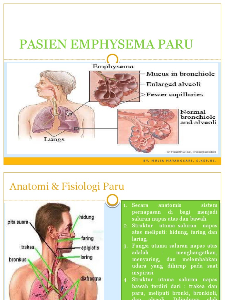 Emfisema Paru | PDF