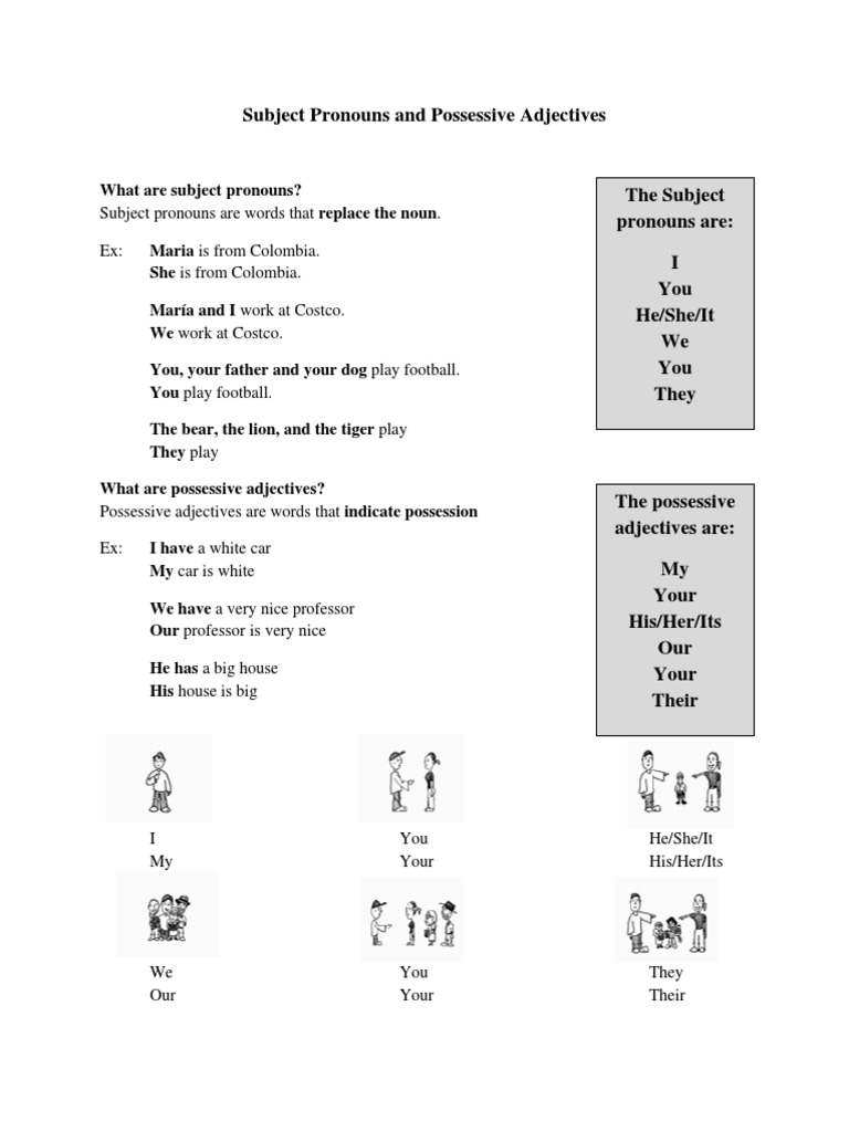 Subject Pronouns & Possessive Adjectives | PDF | Grammatical Number ...