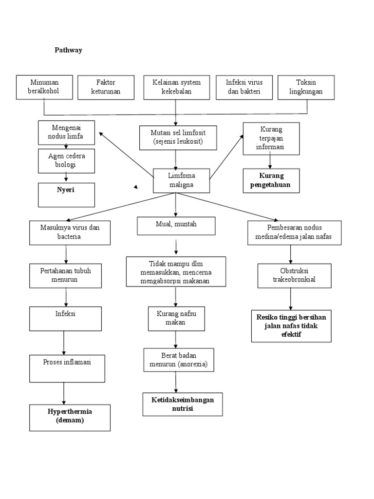 Pathway Limfoma Maligna