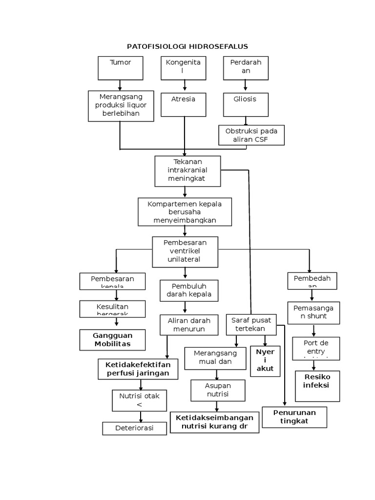 Patofisiologi Hidrosefalus | PDF
