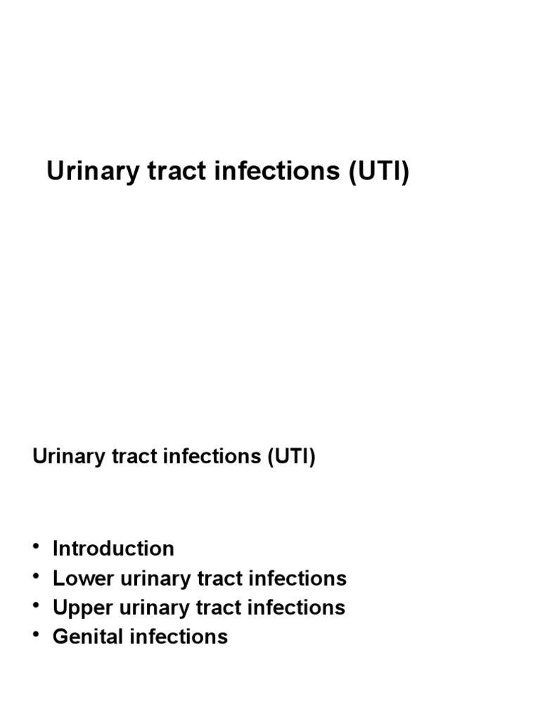 Urology Lecture 7. UTI | PDF | Urinary Tract Infection | Kidney