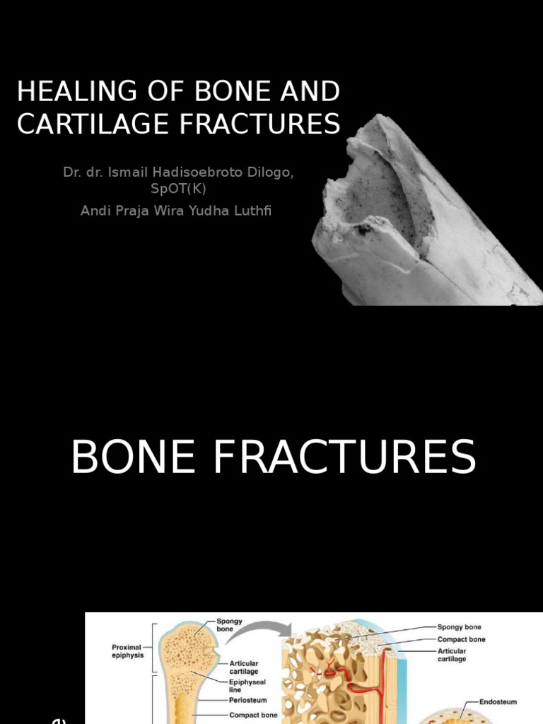 Bone and Cartilage Fracture Healing Guide | PDF | Bone | Cartilage