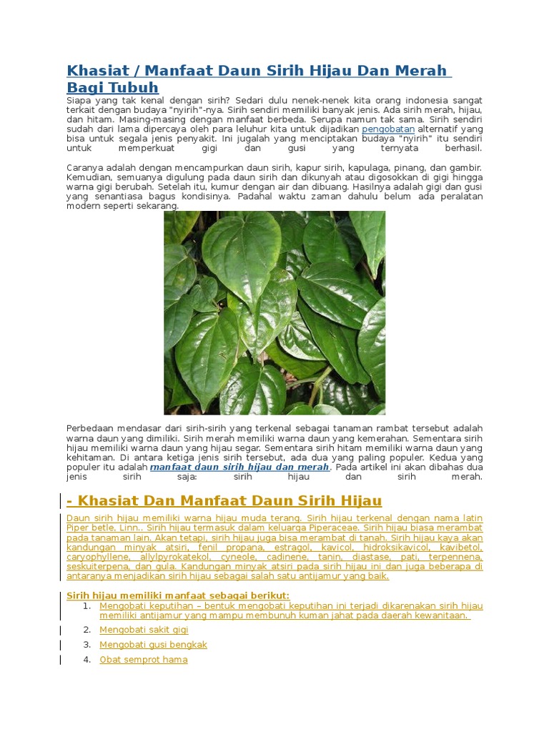 Daun Sirih | PDF