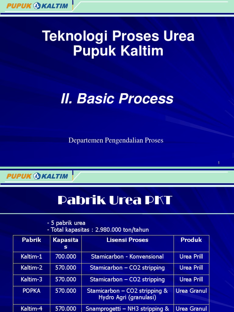 Basic Proses Urea | PDF | Griya & Taman | Sains & Matematika