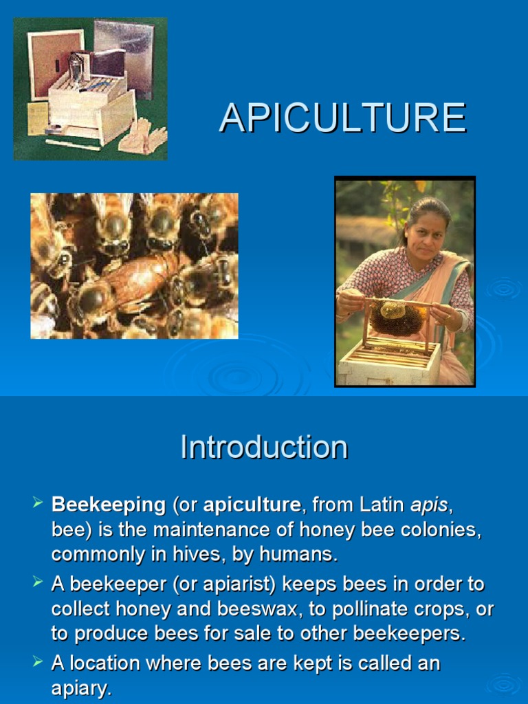 Apiculture | PDF | Beekeeping | Beehive