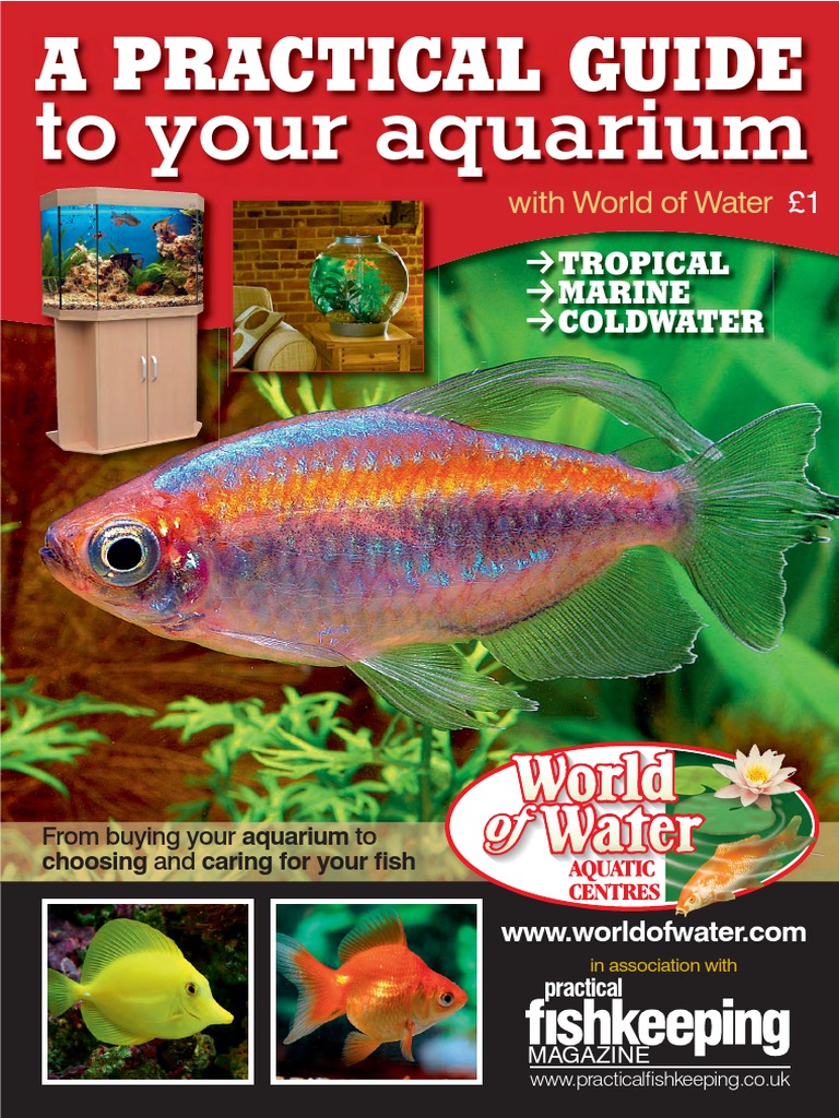 Aquarium PDF | PDF | Aquarium | Fishkeeping