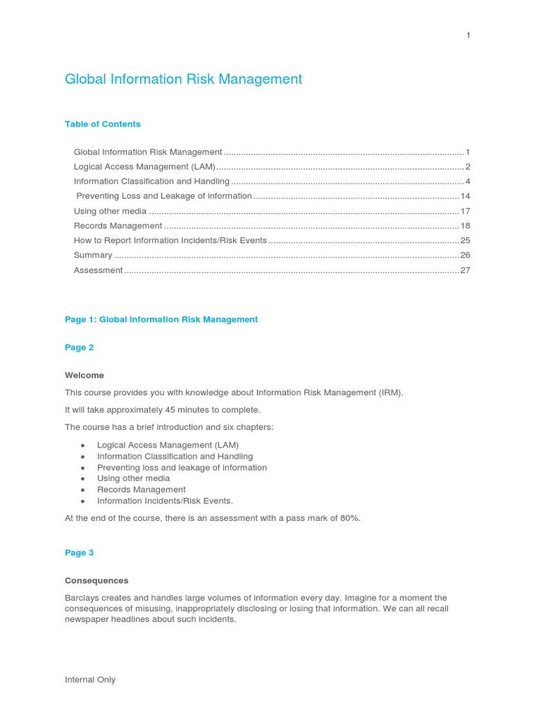 Global Information Risk Management Accessibility Document PDF | PDF ...