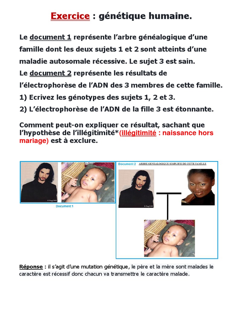 Exercice Génétique Humaine | PDF | Génétique | Sciences de la vie