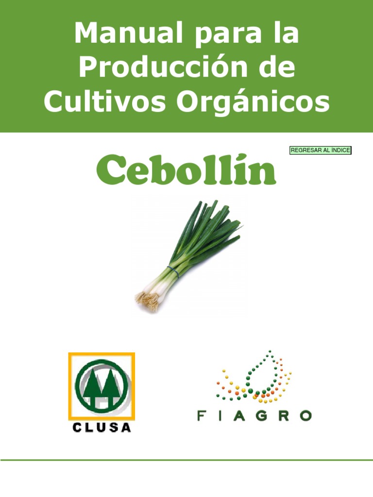 Produccion de Cebollin Organico | PDF | Riego | Fertilizante