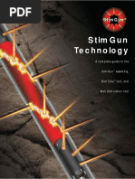 PLT Logging Procedure Guide | PDF | Valve | Nature