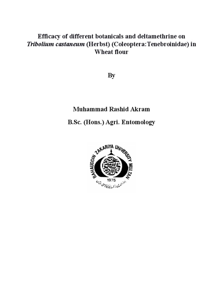Title Page and Aknowledgment | PDF | Thesis | Academia
