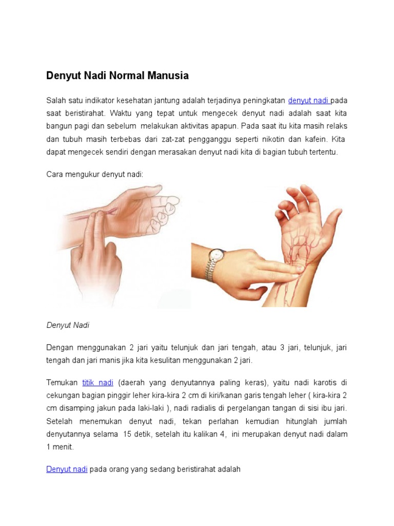 Denyut Nadi Normal Manusia | PDF