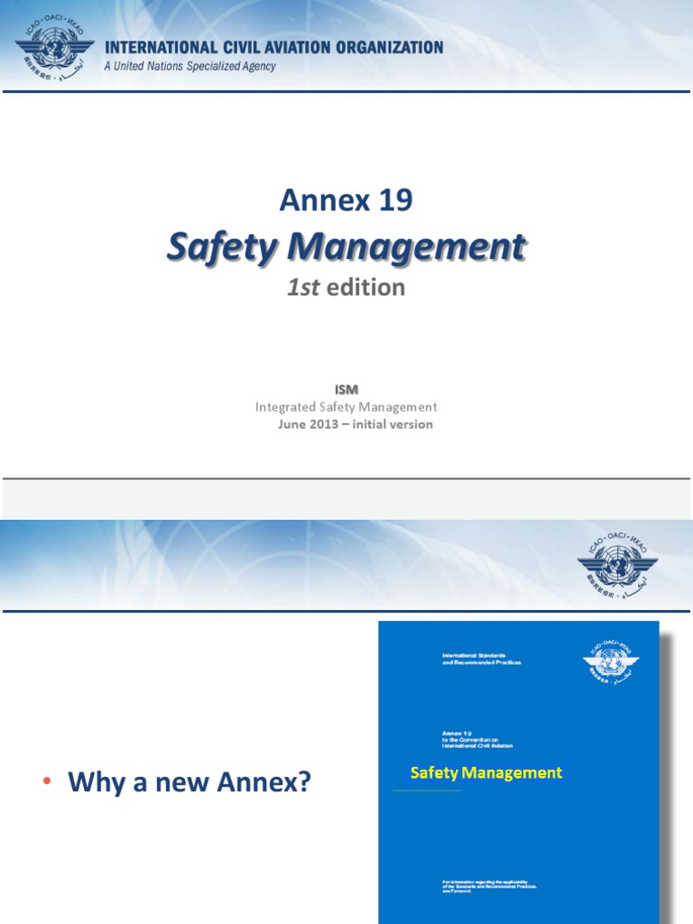 ICAO Annex 19: Safety Management Overview | PDF | Business ...