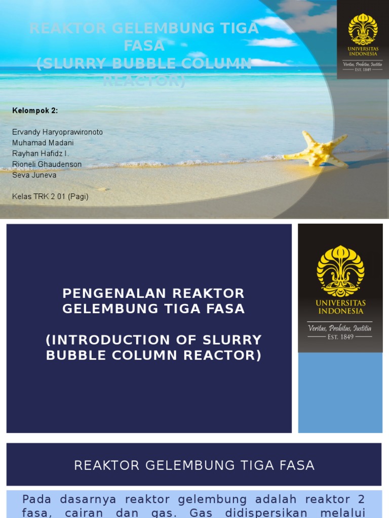 Teknik Reaksi Kimia 2 - Tugas TRK 2 Kelas 01 - Kelompok 2 - Slurry Bubble Column Reactor | PDF
