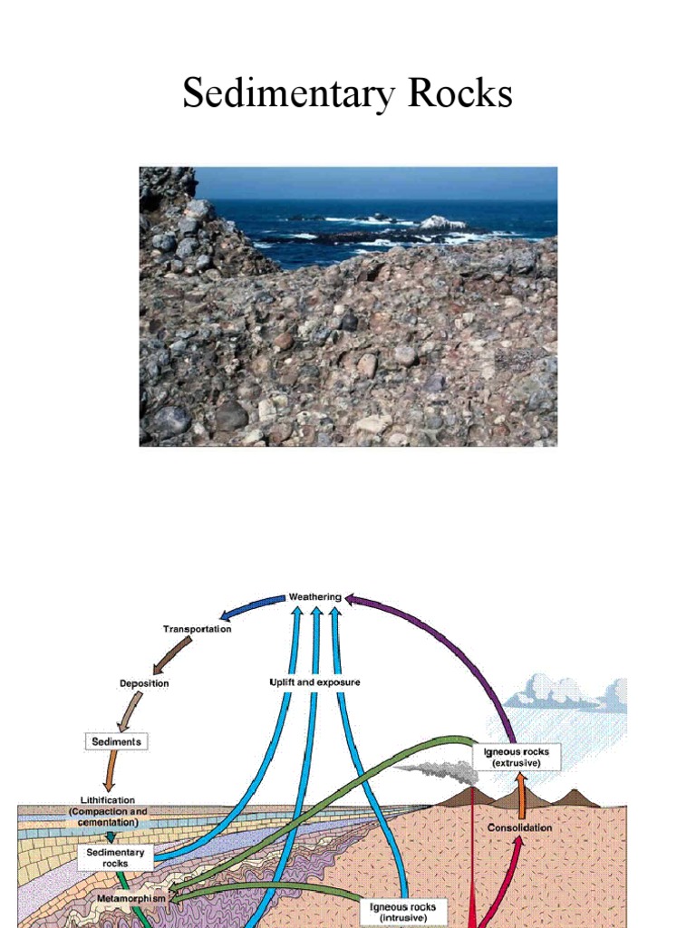 Sedimentary Rocks2 | PDF | Sedimentary Rock | Clastic Rock