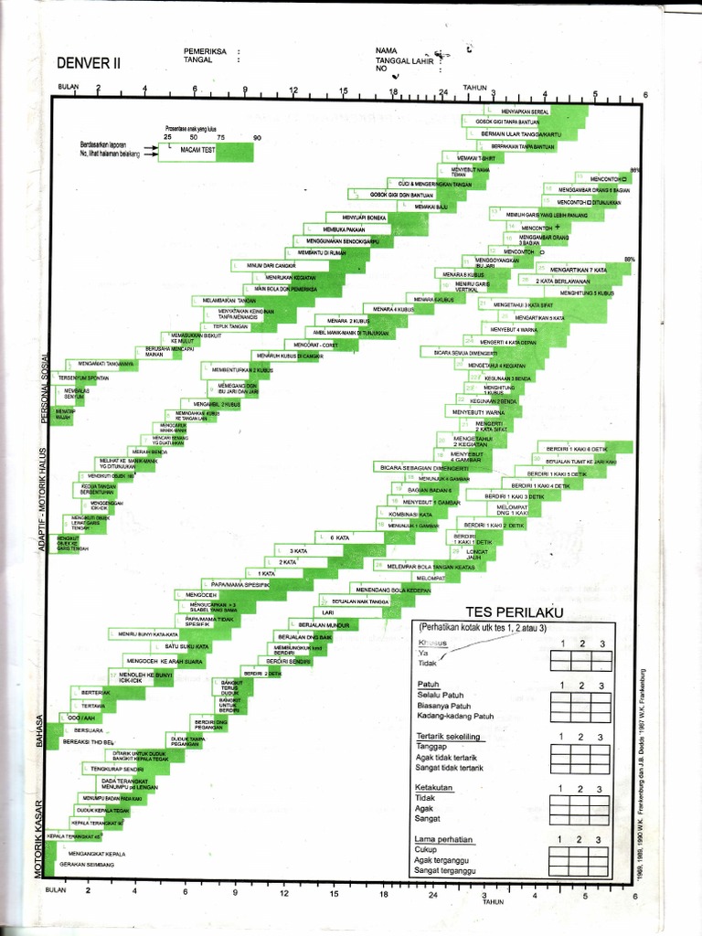 Denver-Tes-Perilaku-Anak | PDF