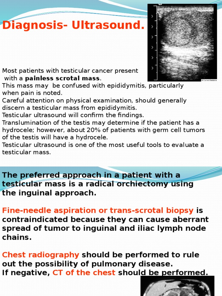 Diagnosis Ultrasound | PDF | Science & Mathematics