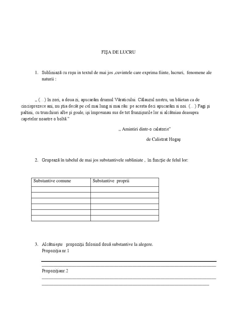Fise de Lucru Substantivul PDF | PDF
