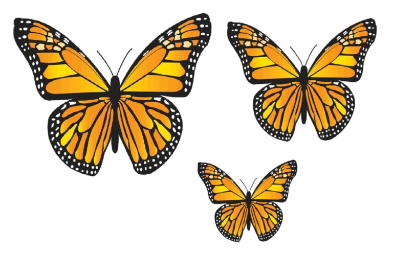 3d Rama Kuning | PDF