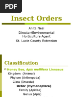 Insects Identification Key PDF | PDF | Fly | Insects