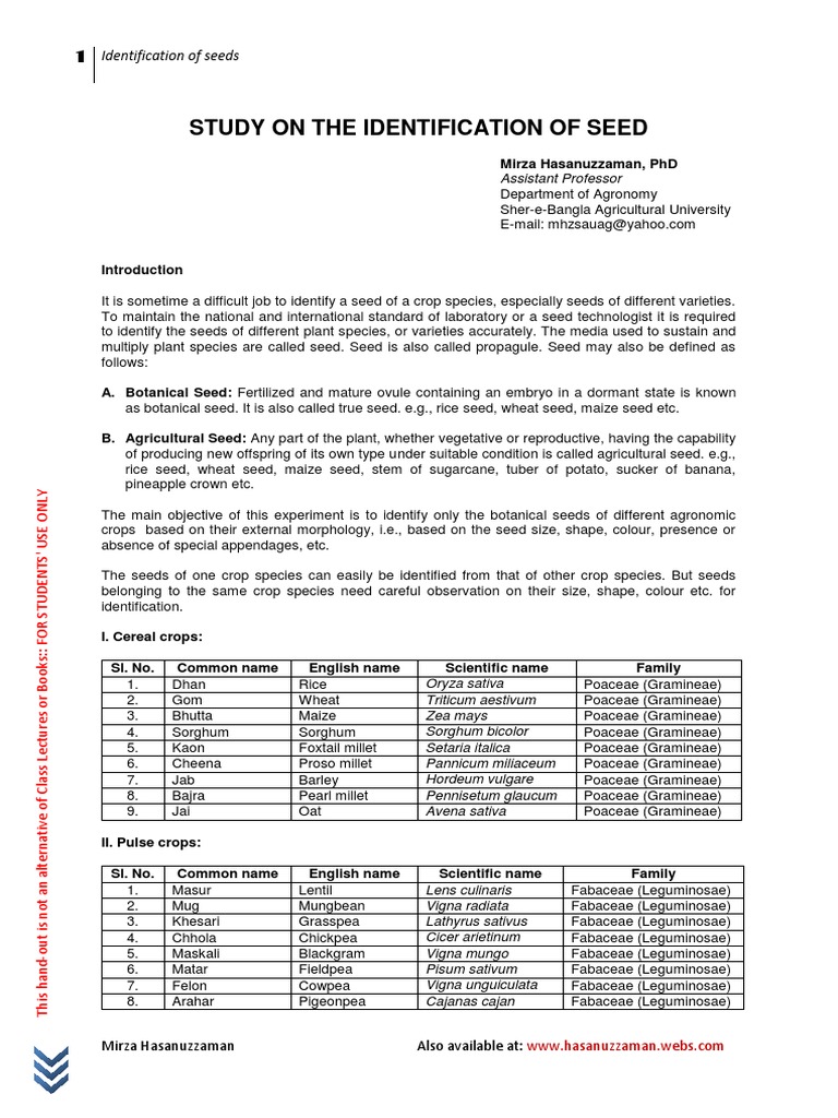 Identification of Seeds | PDF | Seed | Botany
