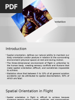 The 8 Types of Illusions Explained - ICEFLAGS - Pilot Institute | PDF ...