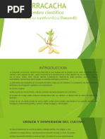 Ficha Técnica Del Pasto Marandú (Brachiaria Brizantha Cv. Marandú ...