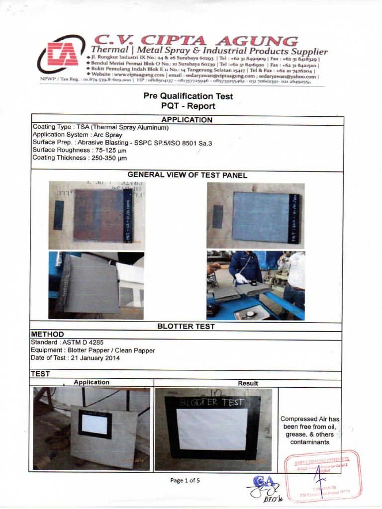 TSA Report CA Document | PDF