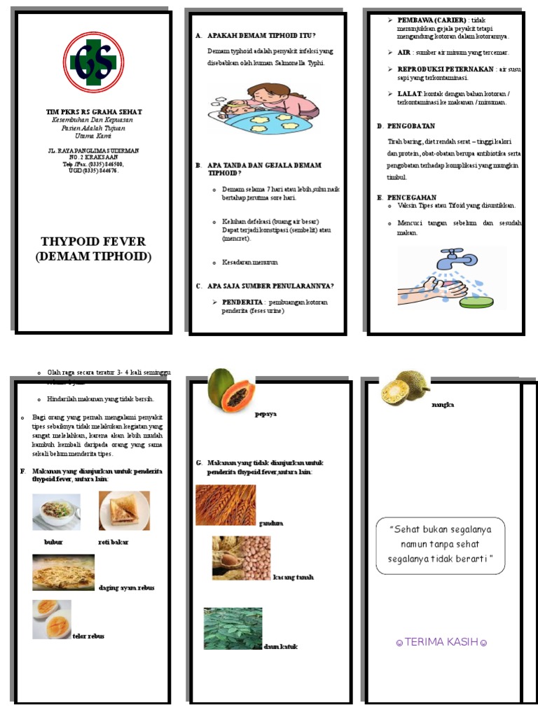 Documents - MX Leaflet Demam Thypoid Tipes | PDF