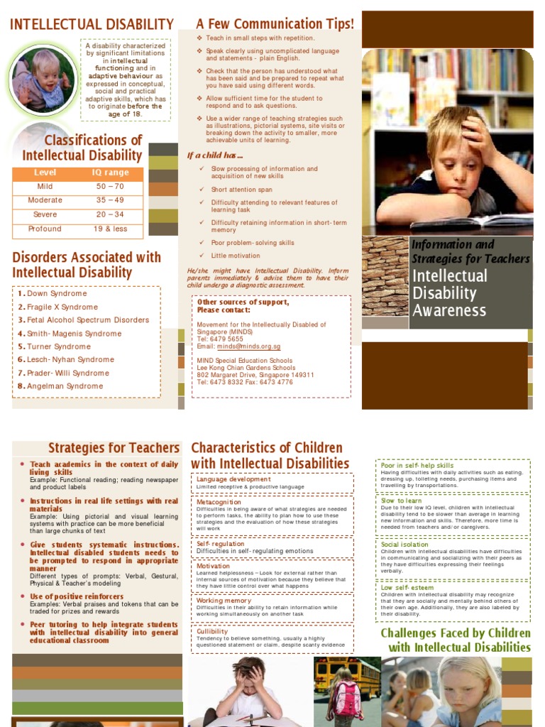 Intellectual Disability Brochure | PDF | Intellectual Disability ...