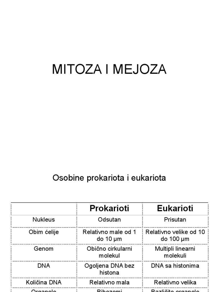 Mitoza I Mejoza | PDF