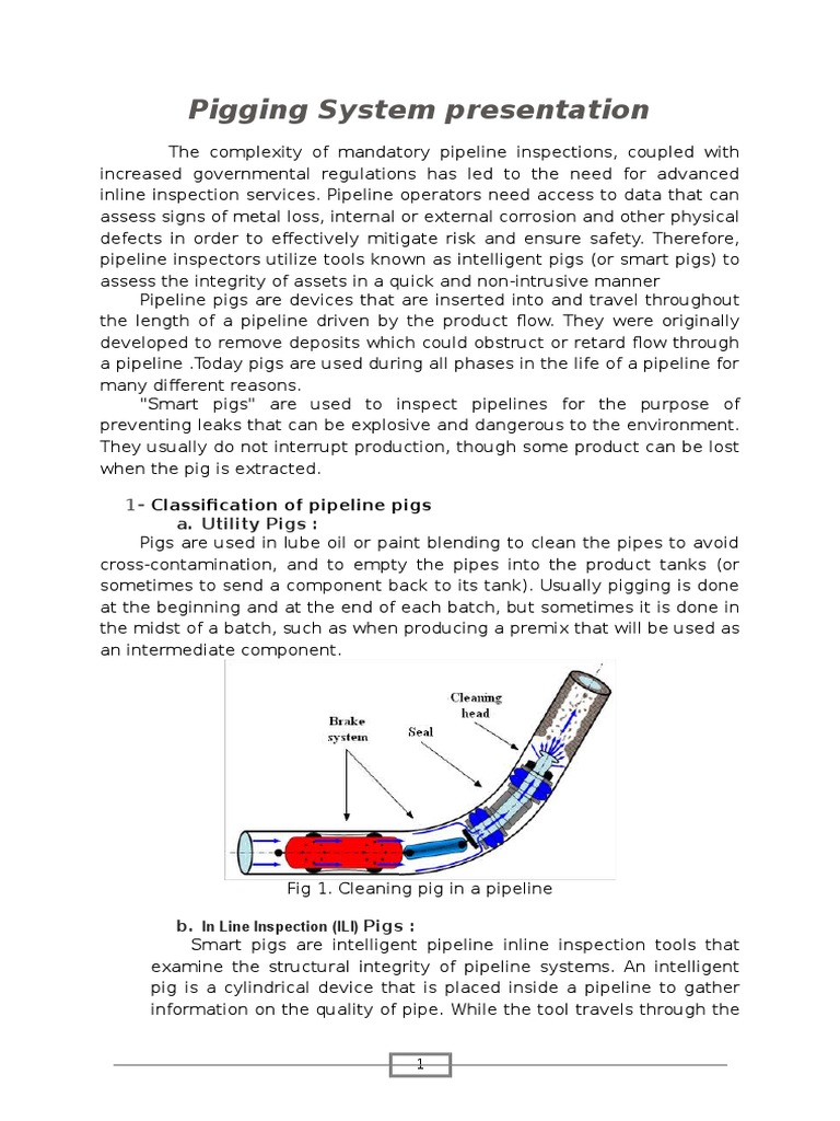 Pigging System Presentation | PDF | Industries | Production And ...