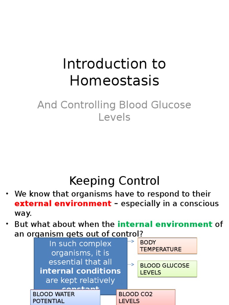 Introduction To Homeostasis: and Controlling Blood Glucose Levels | PDF ...