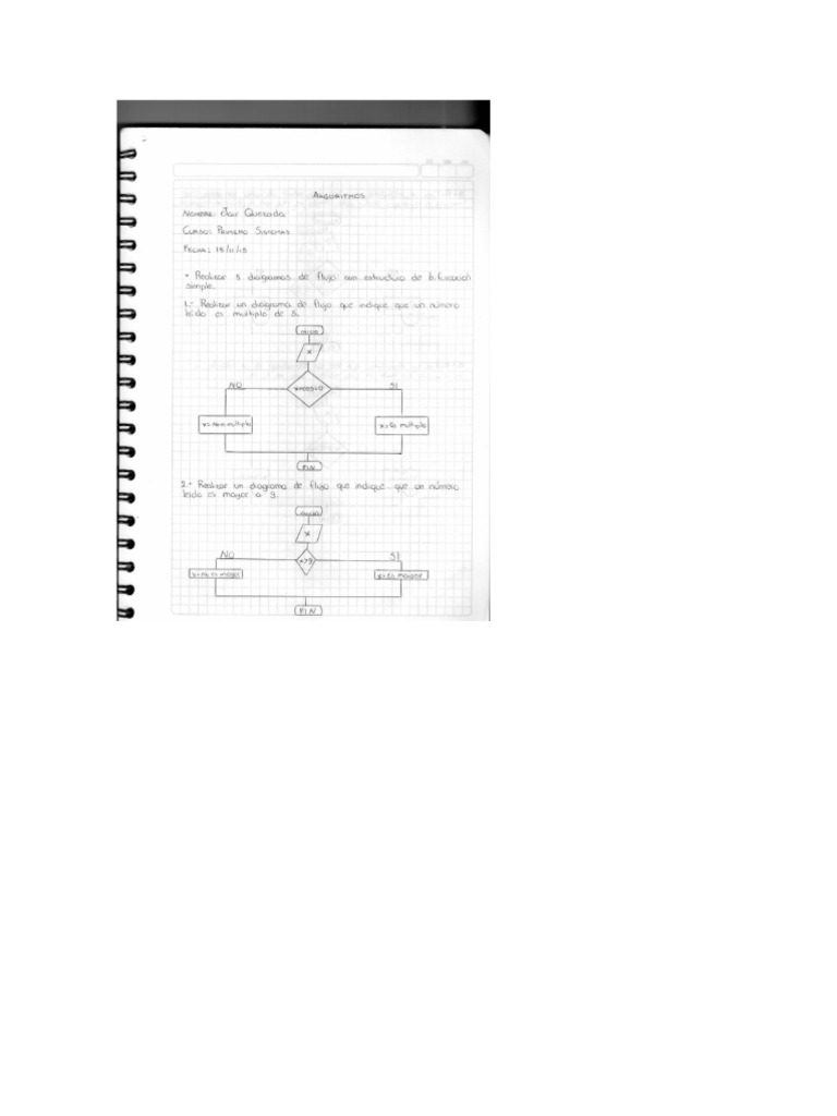 Algoritmos - 5 Ejercicios de Bifurcación | PDF