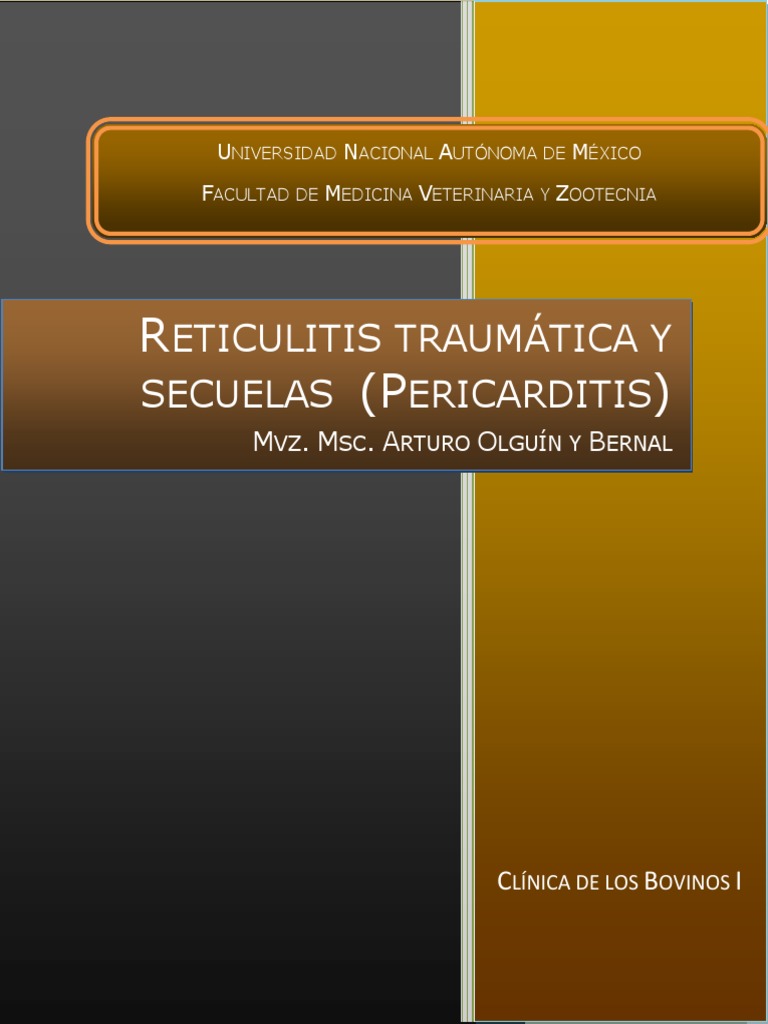 Reticulitis Traumatica y Secuelas | PDF | Medicina CLINICA ...