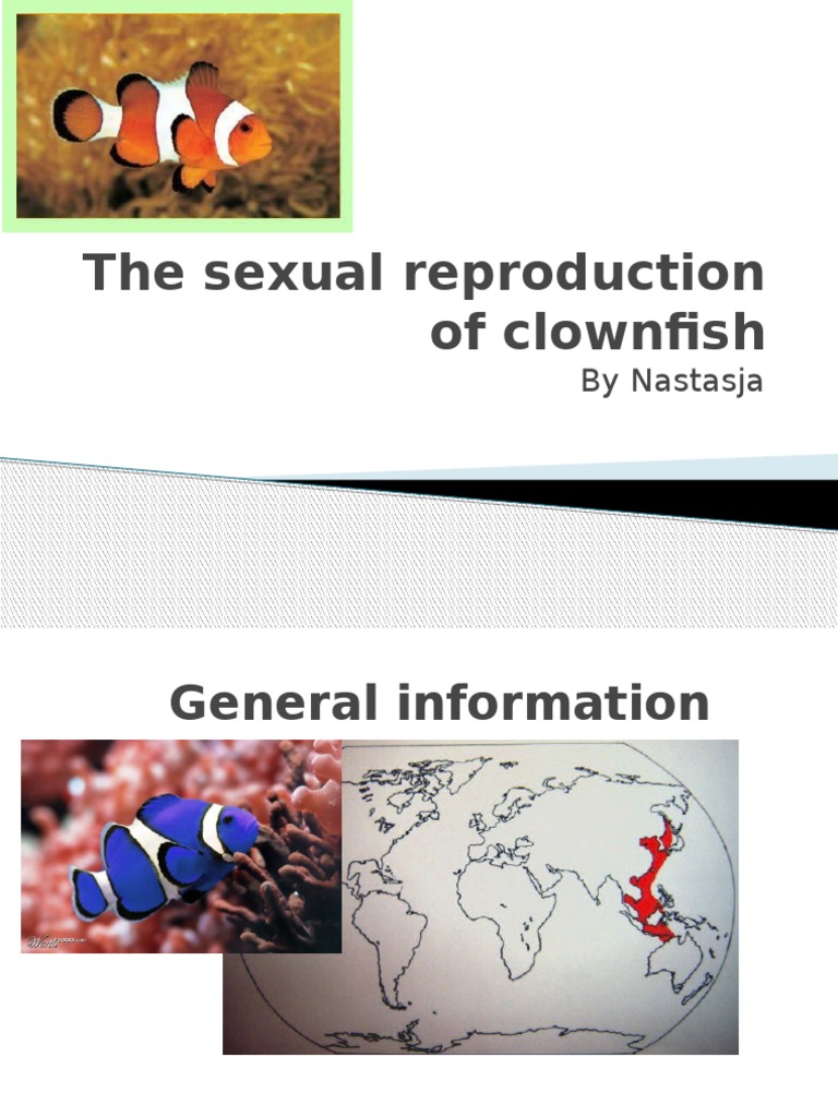 Clownfish Reproduction Guide | PDF | Cooking, Food & Wine | Religion ...