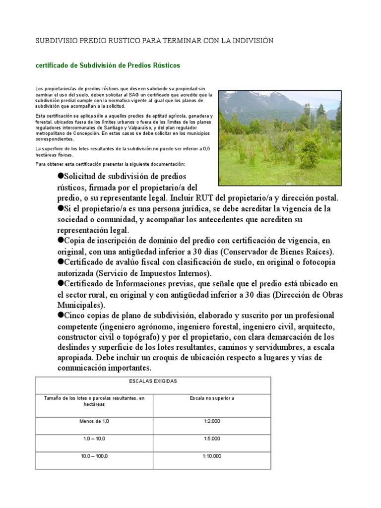 Subdivision Predio Rustico | PDF | Arquitecto | Business