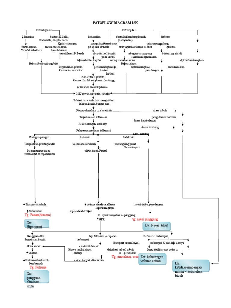 Patoflow Diagram Isk | PDF