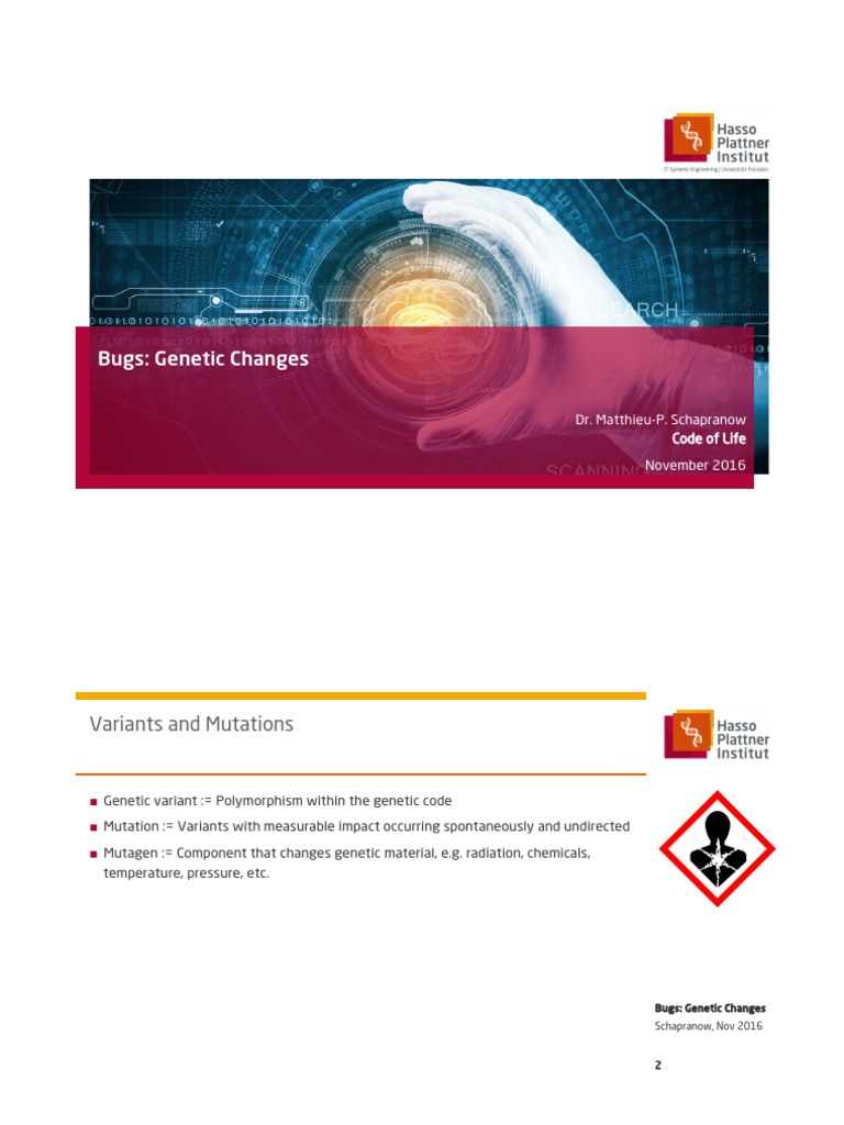07 Bugs - Genetic Changes | PDF