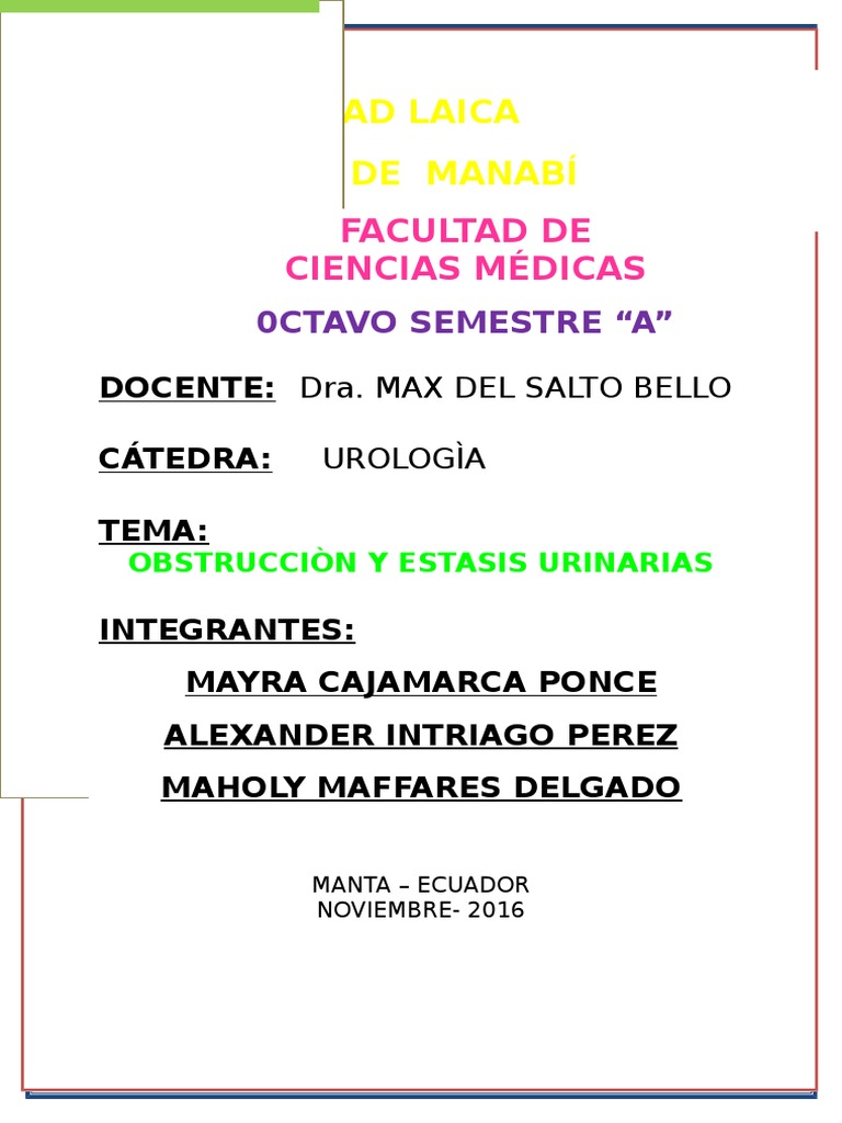 Obstrucción y Estasis Urinaria | PDF | Vejiga urinaria | Sistema urinario