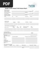 Credit Investigation Report Template | PDF