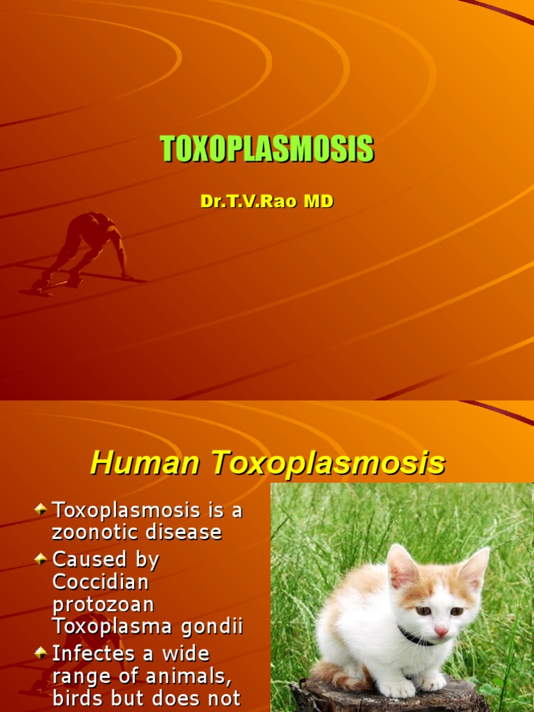 Toxoplasmosis | PDF | Immunology | Medical Specialties